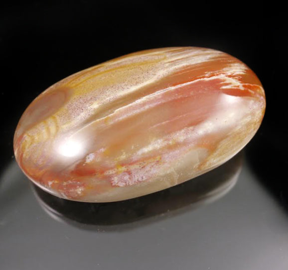 Petrified Wood – Feel Crystals and Jewellery